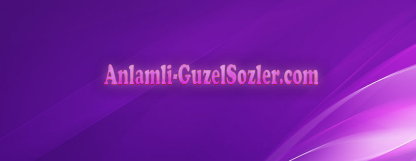 Bilgi: Klavye yön tuşlarını kullanarak galeri resimleri arasında geçiş ...